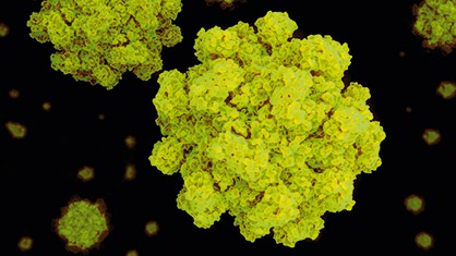 Horror-Virus | ROLLING PIN Magazin